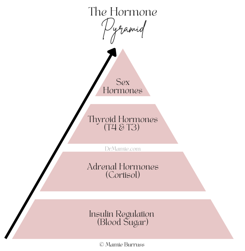 The Hormone Connection: Insulin, Cortisol, Thyroid + Sex Hormones